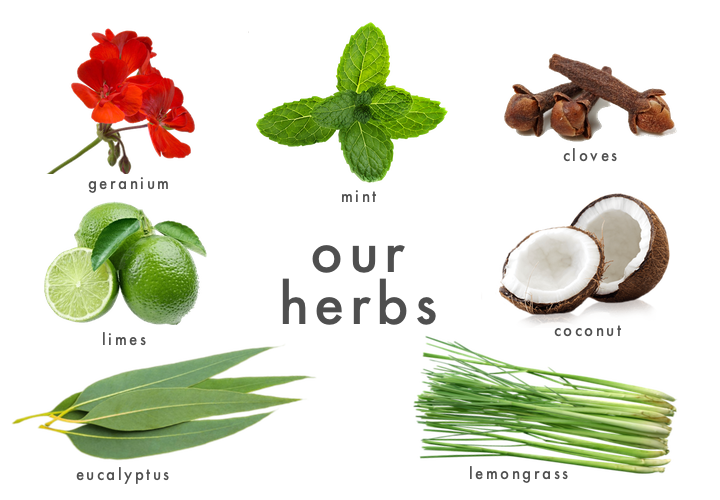 Ouch Instant Herbal Sting Relief Spray - Ouch Personal Outdoor Spray ...